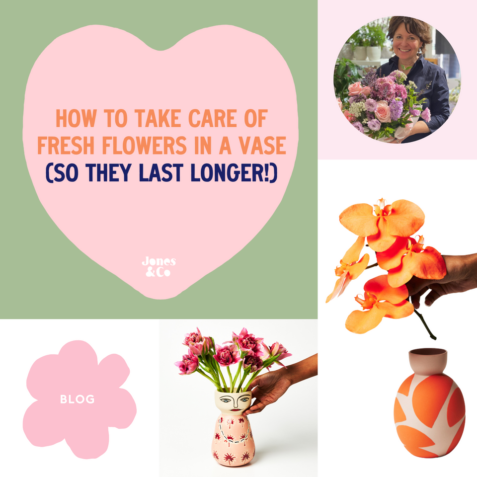 How to take care of fresh flowers (so they last longer!) – Jones & Co