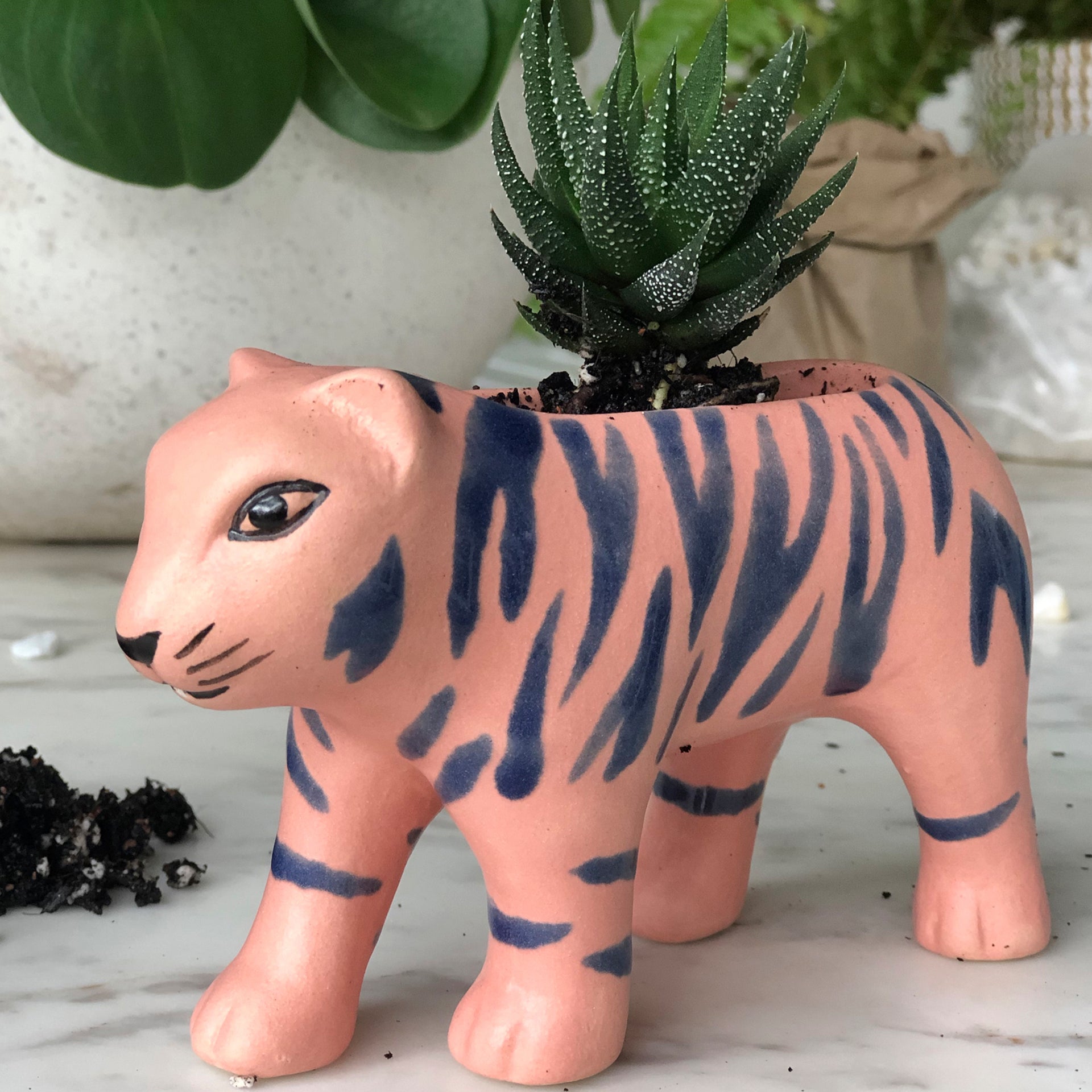 THE TOP 5 PLANTS FOR OUR MINI PLANTERS (AND 10 EASY STEPS FOR HOW TO P ...