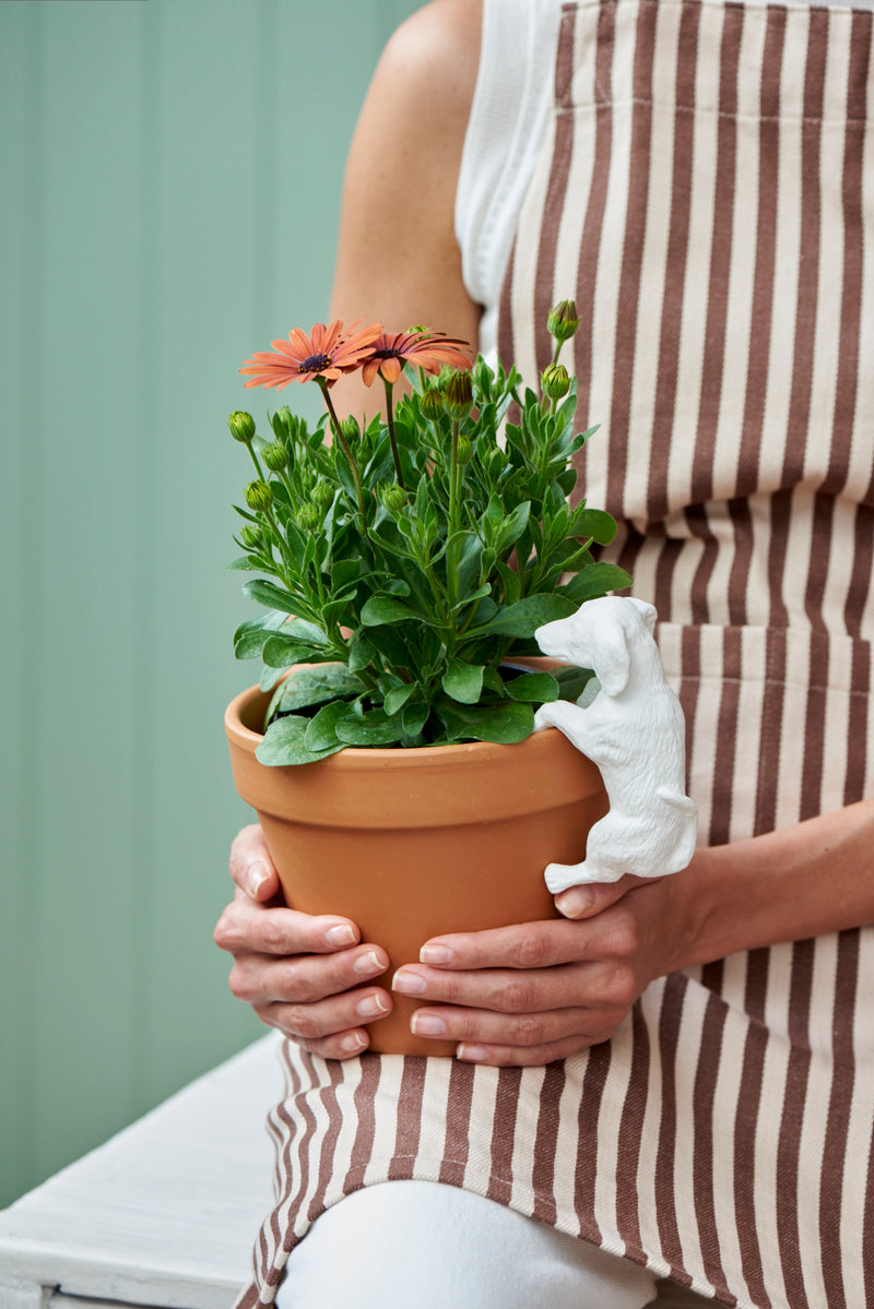 New Arrivals – Jones & Co